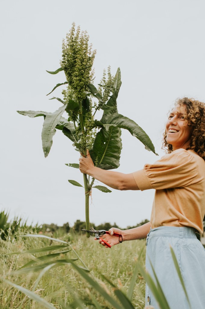 Team Wilderful - Wilderful